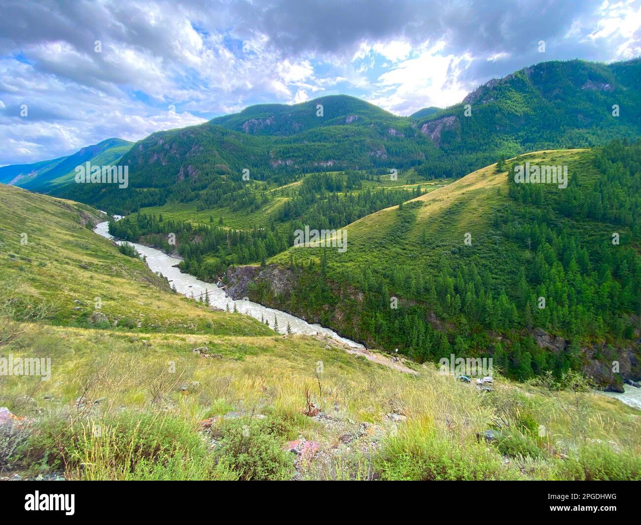 Mountain river Chuya with current and muddy water flows among rocks ...