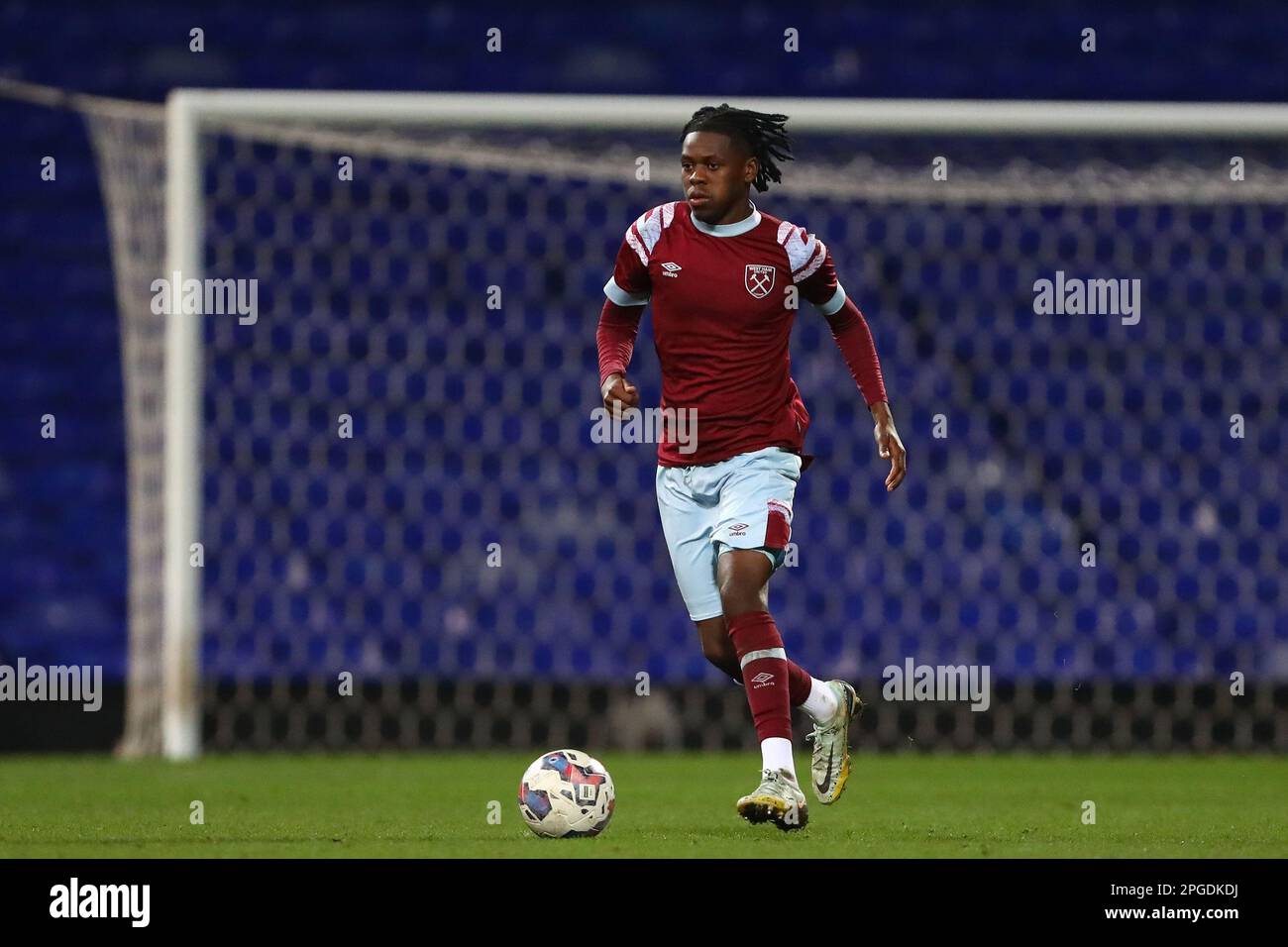 Tarima hi-res stock photography and images - Alamy