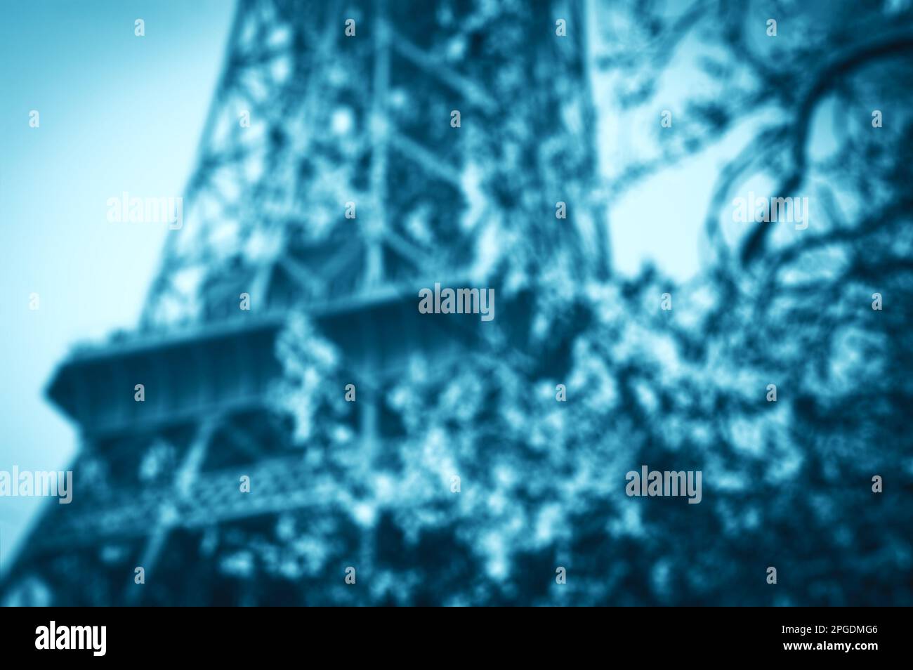Spring in Paris. Blossoming cherry tree and Eiffel tower at background ...