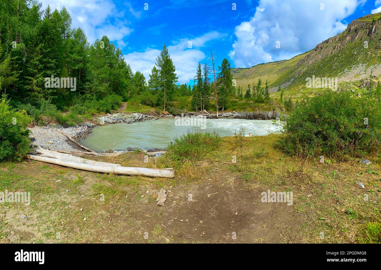 The bay of the mountain river Chuya with flow and waves with a log to ...