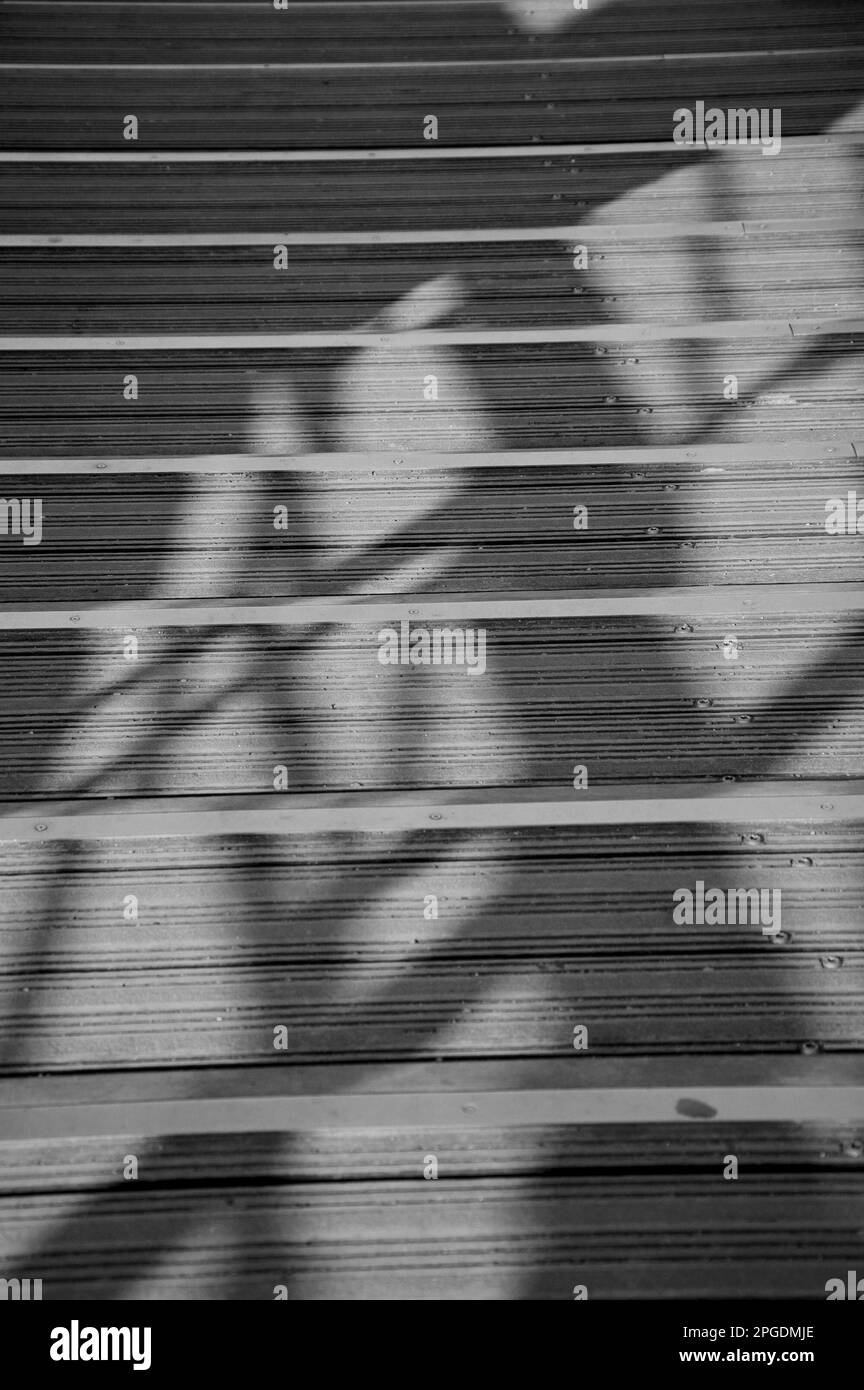 Shadow of railings on the bridge steps. Fragment of Solferino bridge ...