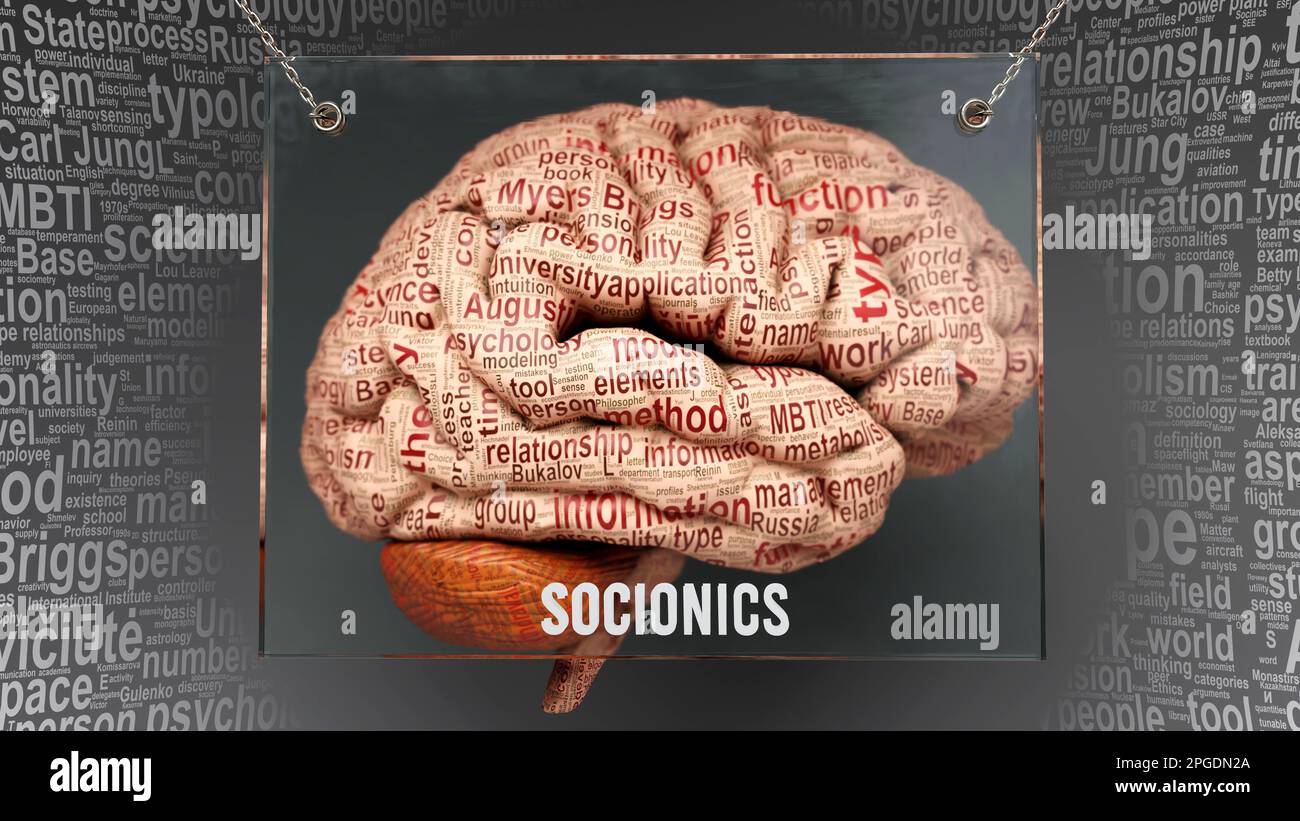 Socionics in human brain - dozens of important terms describing Socionics properties and ...