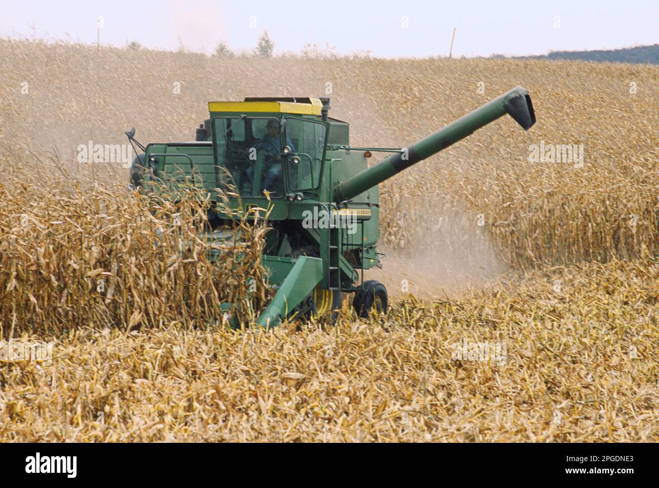 A farmer harvests feed corn in the late fall in Minnesota, USA Stock ...