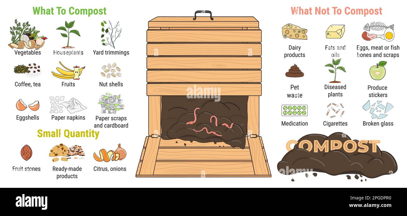 Infographic of garden composting bin with scraps. What to or not to ...