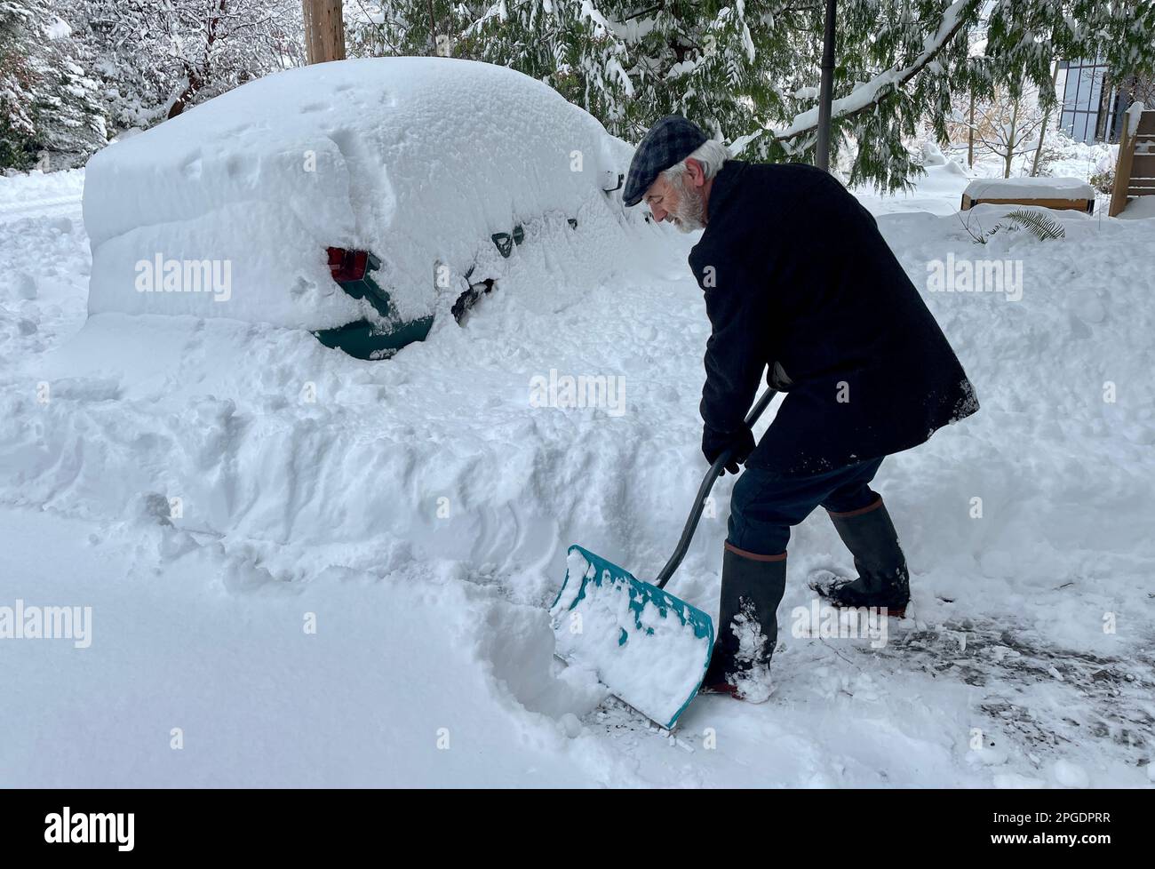 Senior Man Shoveling Snow in a driveway by his car, British Columbia ...