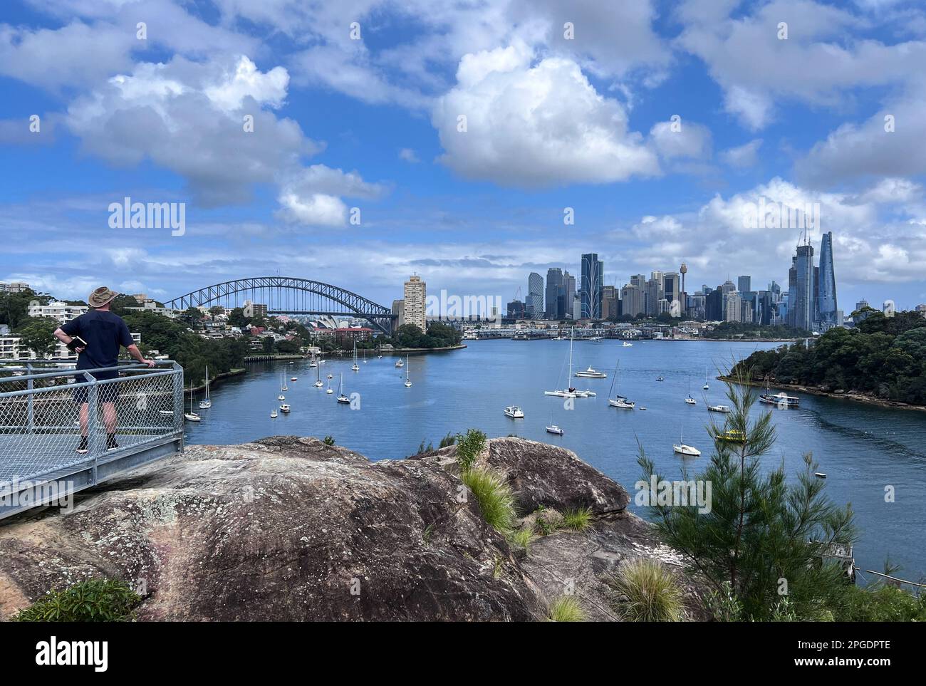 Rear view of a man at Berry's Bay Lookout looking at cityscape and ...
