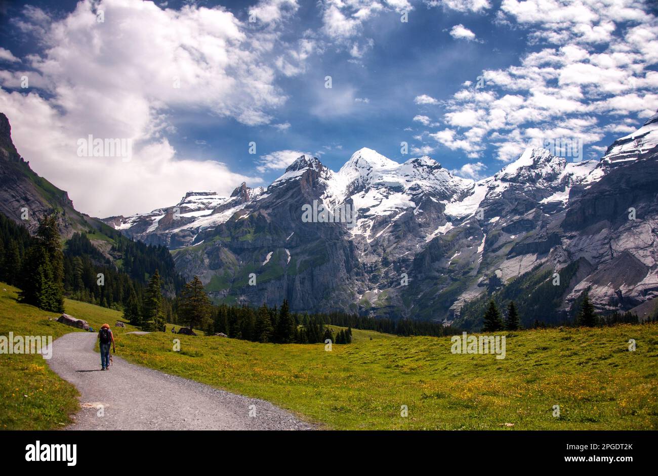Rear view of a woman hiking in Swiss Alps with her dog, Kandersteg ...