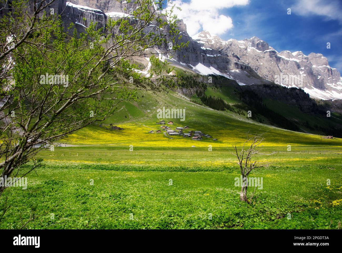 Alpine Landscape in Springtime, Urnerboden, Uri, Switzerland Stock ...
