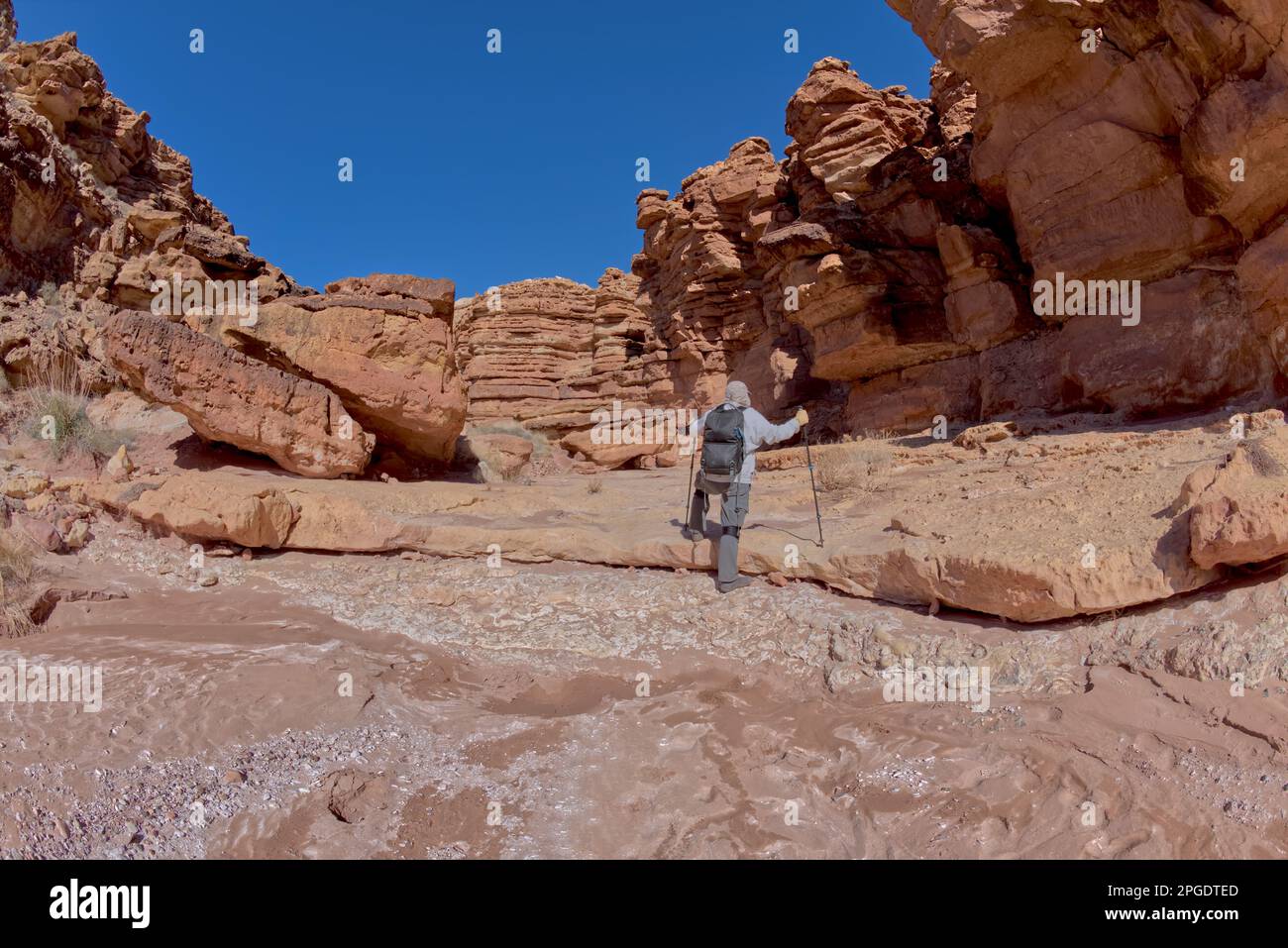 Man hiking in East Johnson Creek, Marble Canyon, Arizona, USA Stock ...