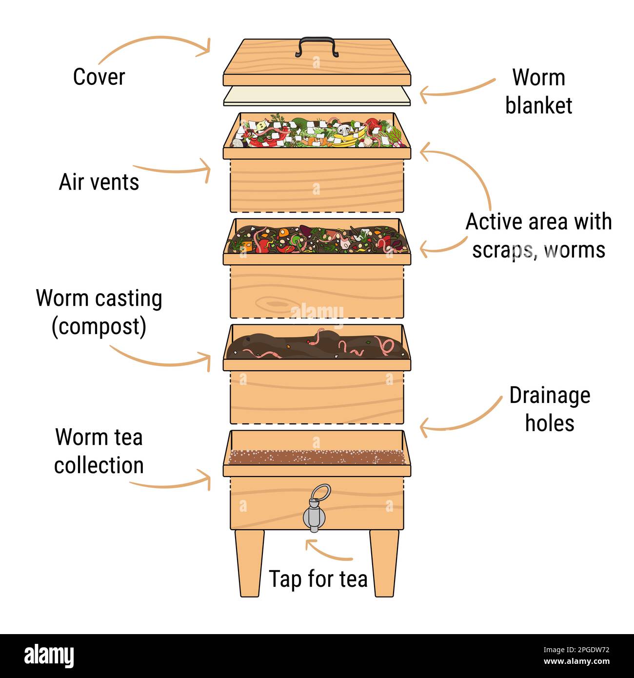 Infographic Of Vermicomposting Components Of Vermicomposter Vermicomposter Schematic Design