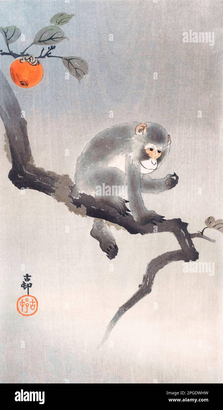 Japanese painting monkey hi-res stock photography and images - Alamy