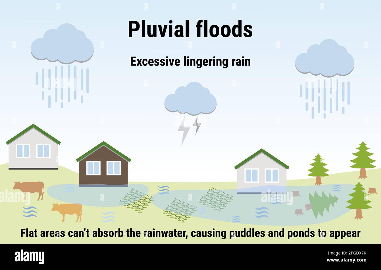 Pluvial floods. Flooding infographic. Flood natural disaster with ...