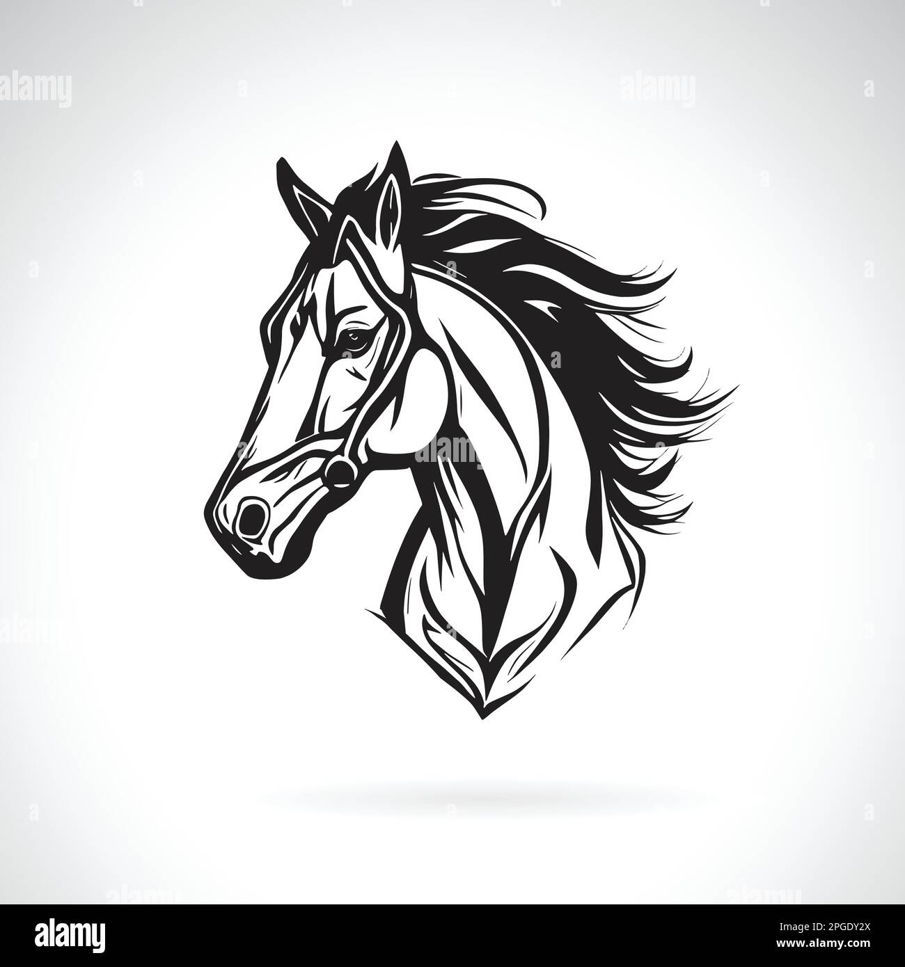 Vector of horse head design on white background. Easy editable layered ...