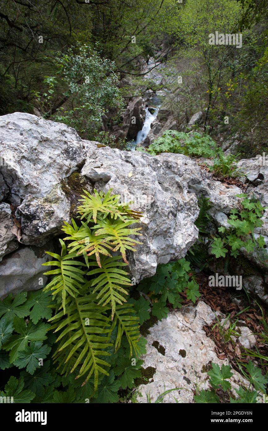 gole del fiume calore, parco nazionale del cilento e vallo di diano ...