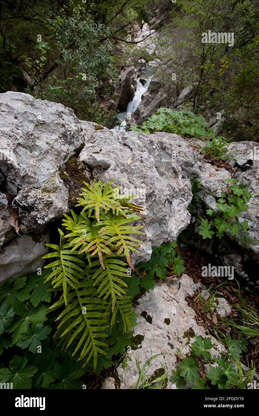 gole del fiume calore, parco nazionale del cilento e vallo di diano ...
