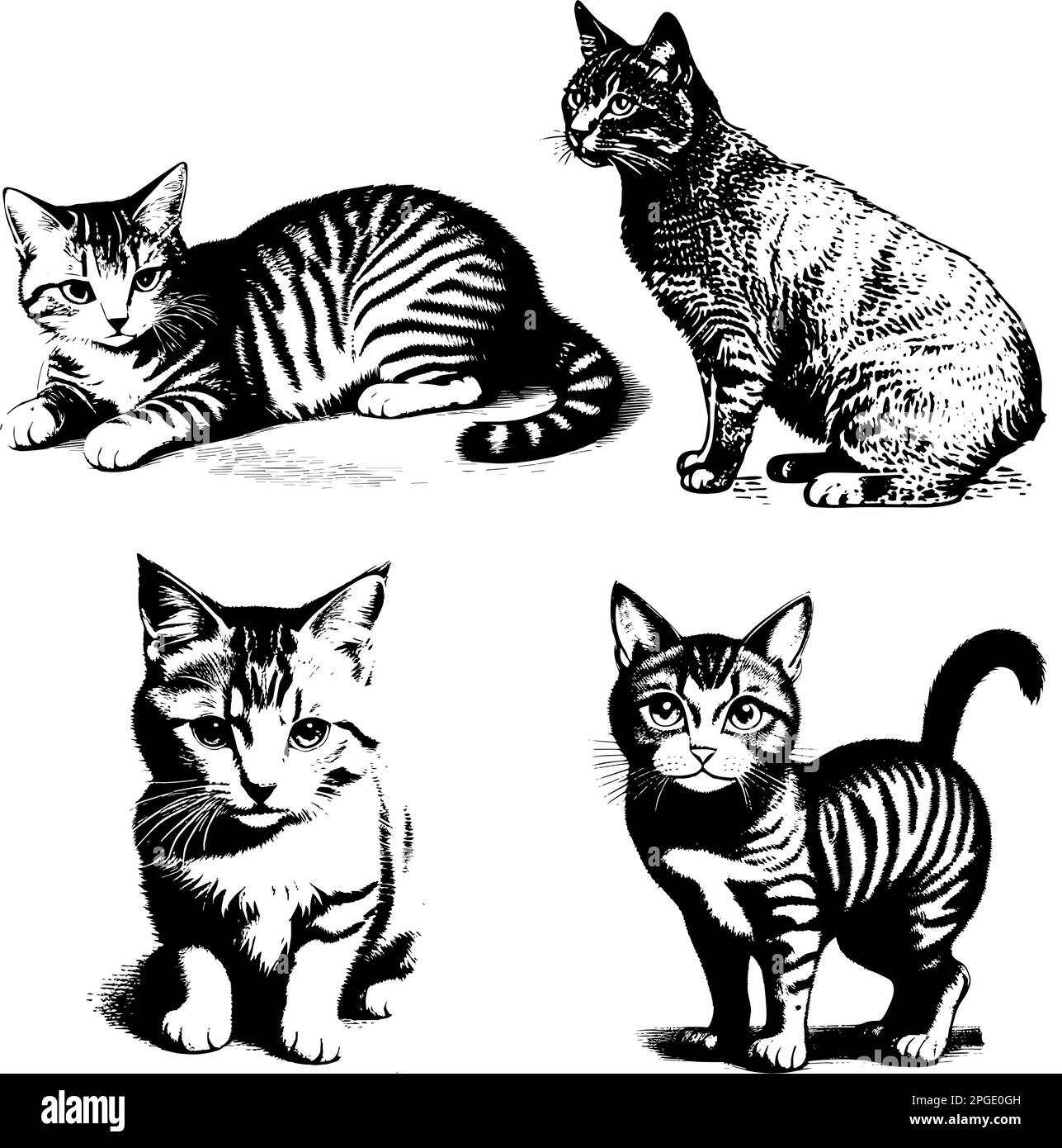 Vector image of cats. Vintage illustration of kittens Stock Vector ...