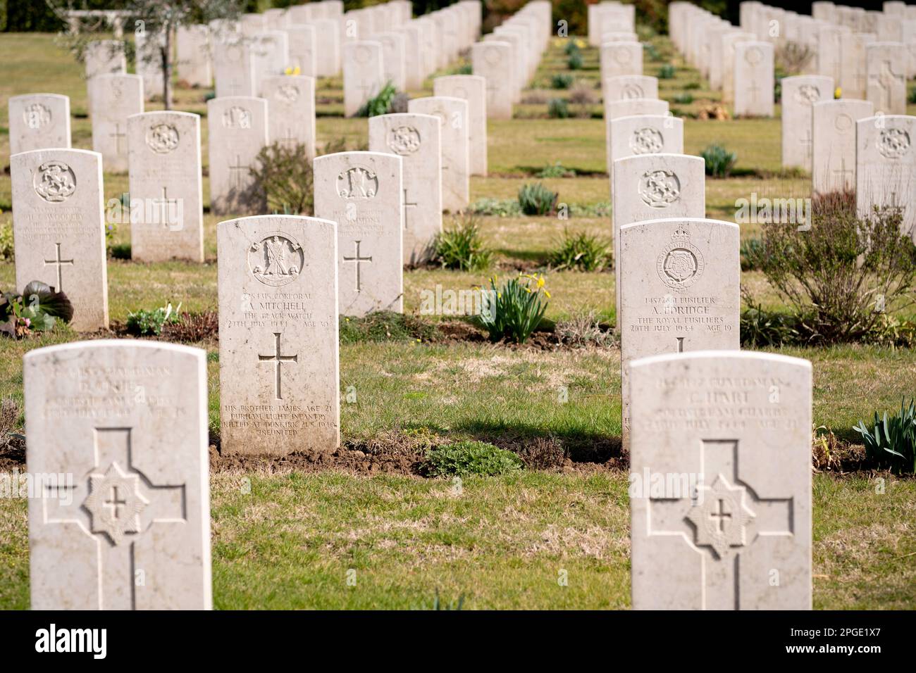 The Commonwealth War Graves Commission war cemetery near the river Arno ...