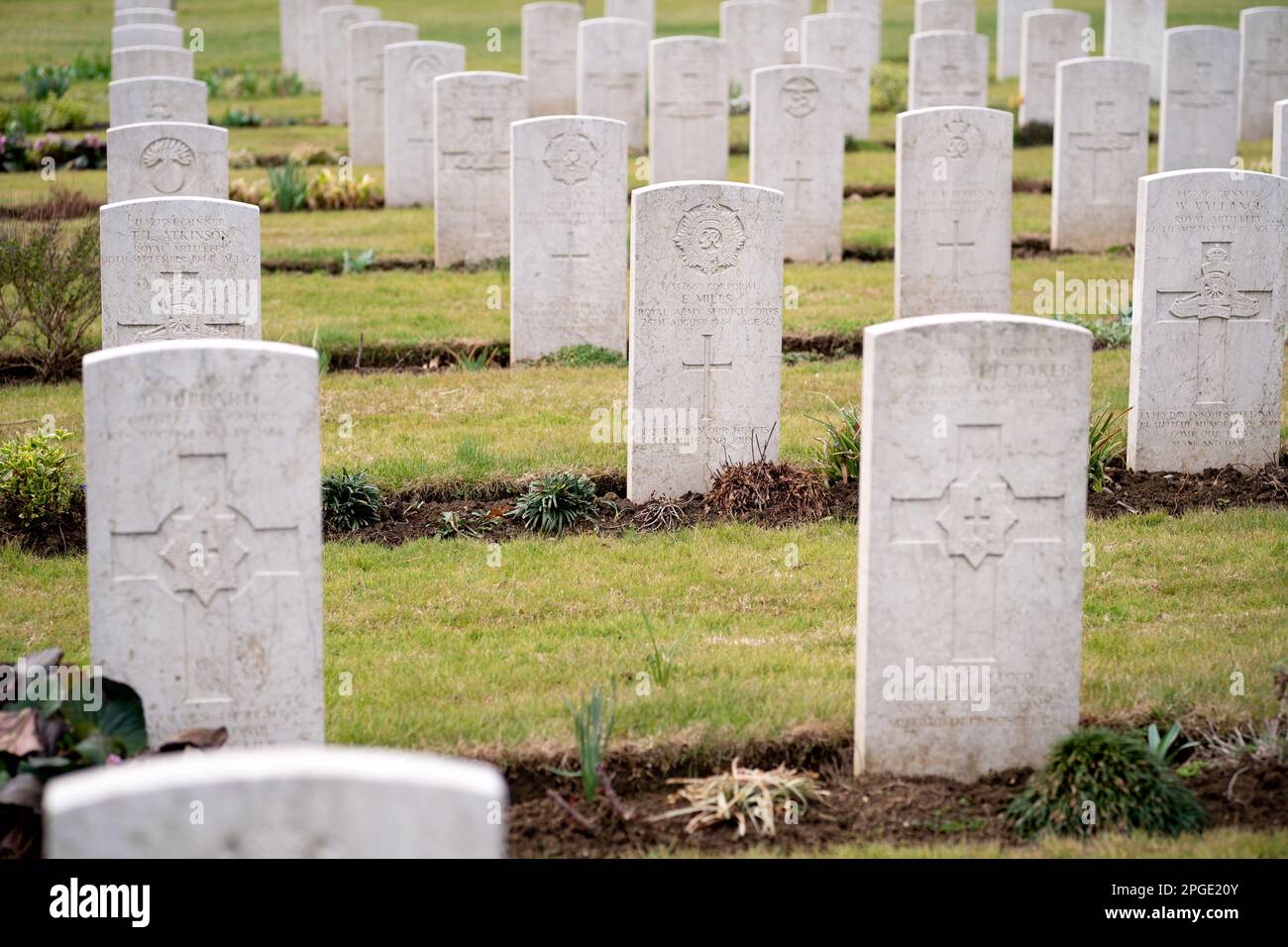 The Commonwealth War Graves Commission war cemetery near the river Arno ...