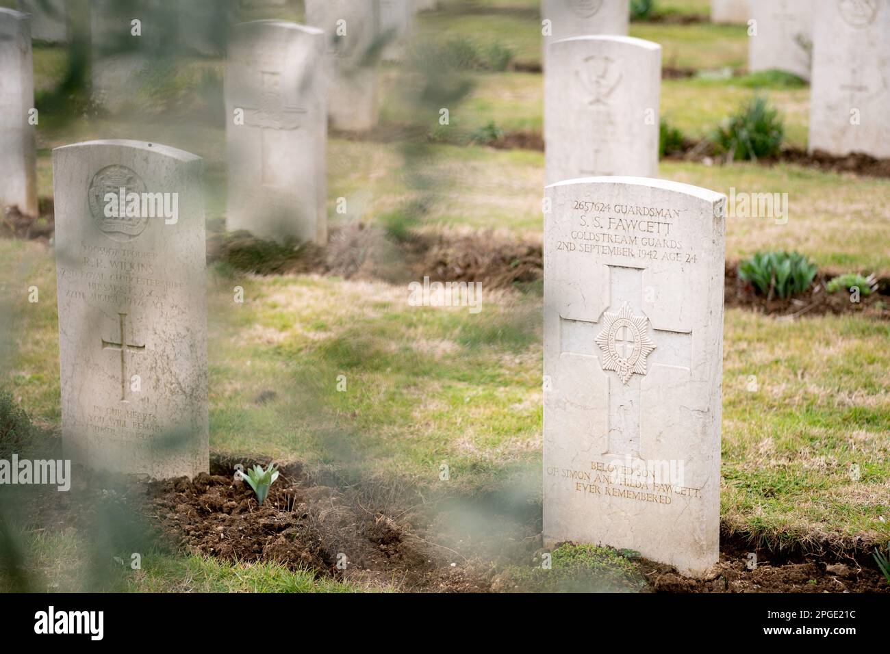 The Commonwealth War Graves Commission war cemetery near the river Arno ...
