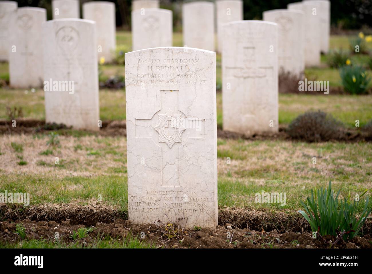 The Commonwealth War Graves Commission war cemetery near the river Arno ...