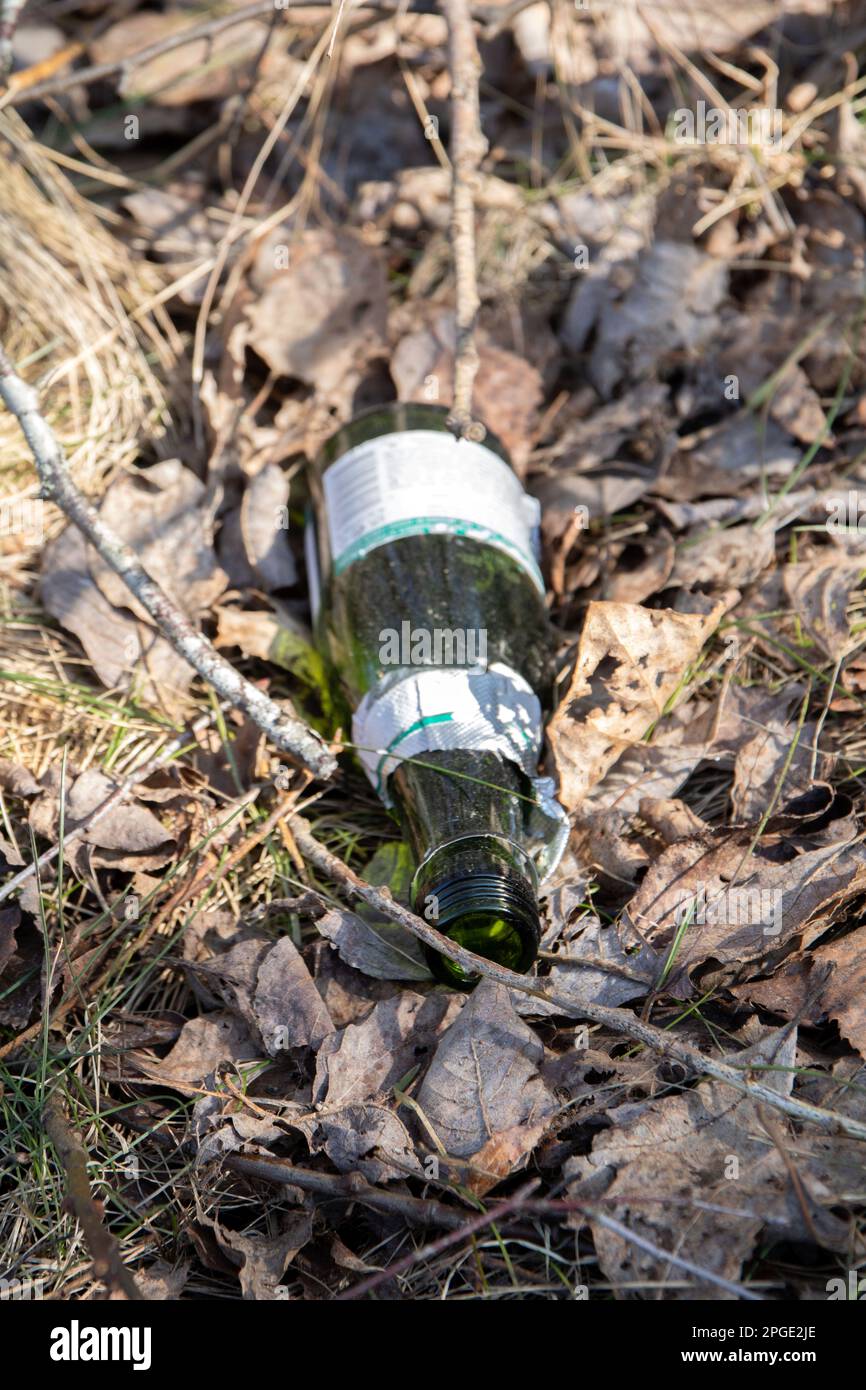 photo of a glass empty bottle lying on the ground in the woods Stock ...