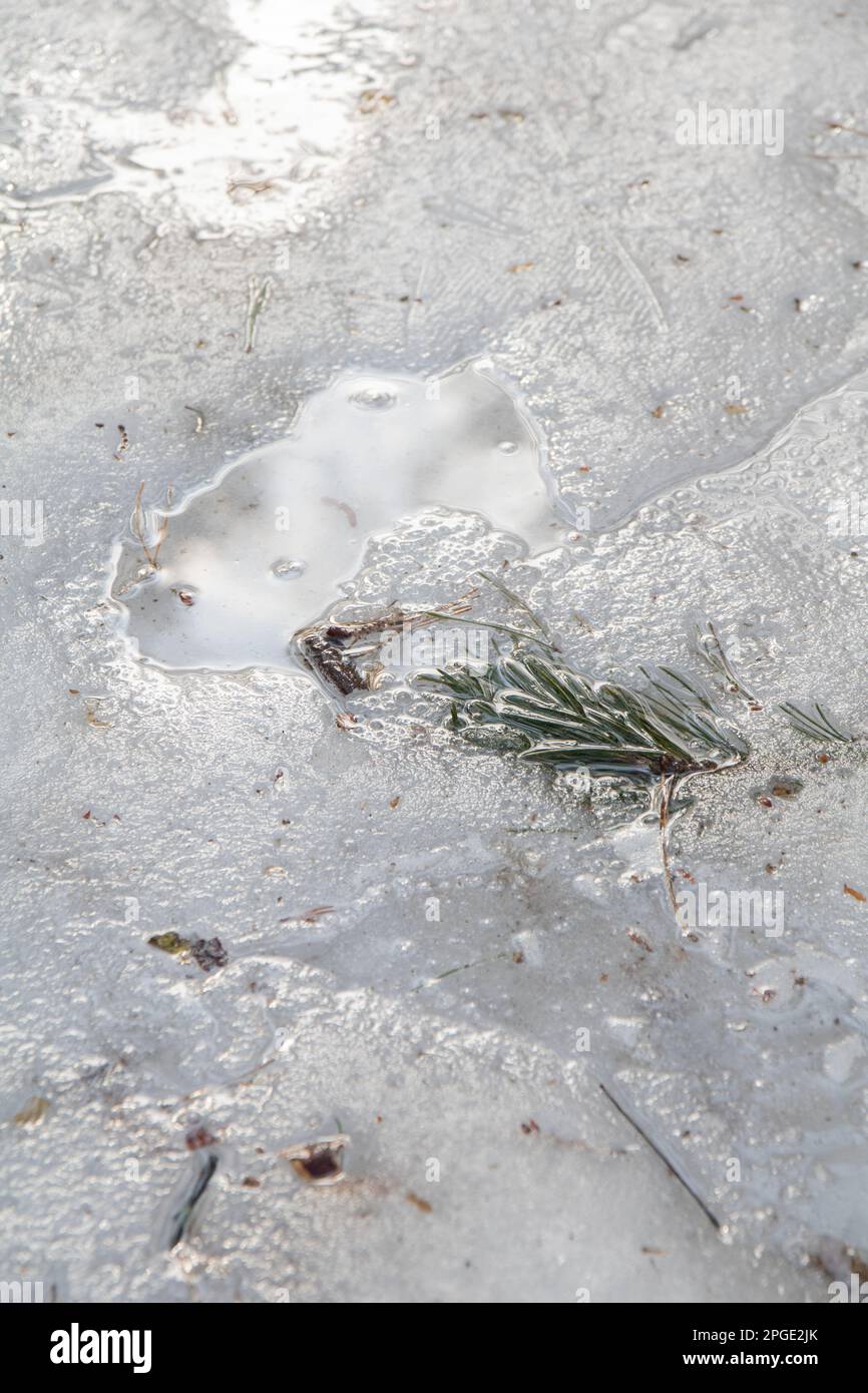 Freezing tree branch hi-res stock photography and images - Alamy