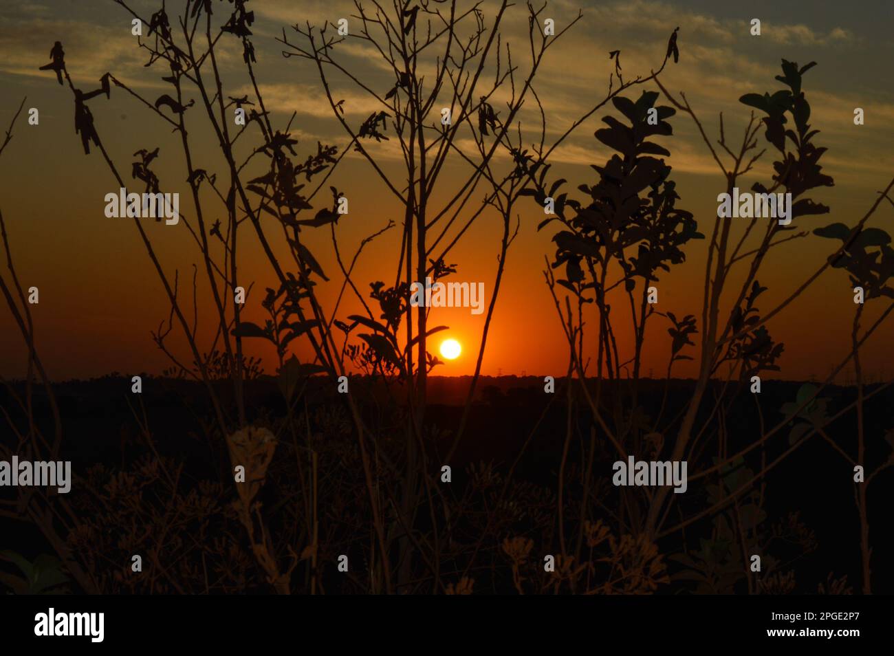 Sunset in the central plateau of the Brazilian Cerrado biome. The sun ...
