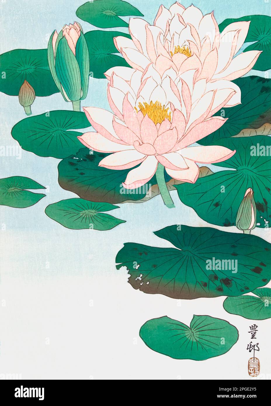 Water Lily painting by Ohara Koson Stock Photo - Alamy