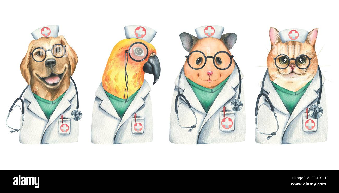 Doctor animals, cat, dog, hamster, parrot in medical clothes ...