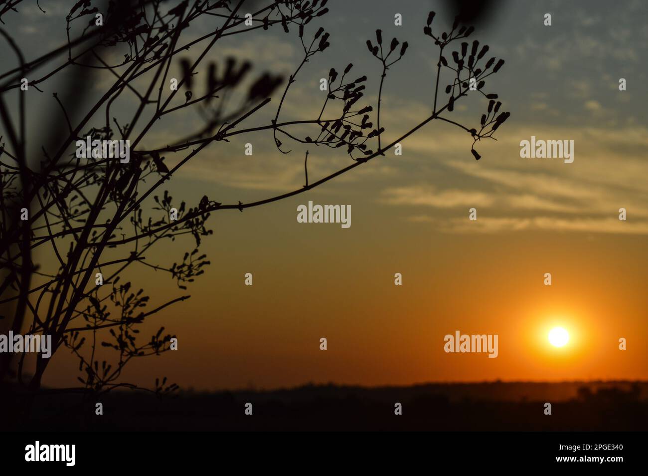 Beautiful bucolic sunset in the Brazilian Cerrado biome. An immense ...