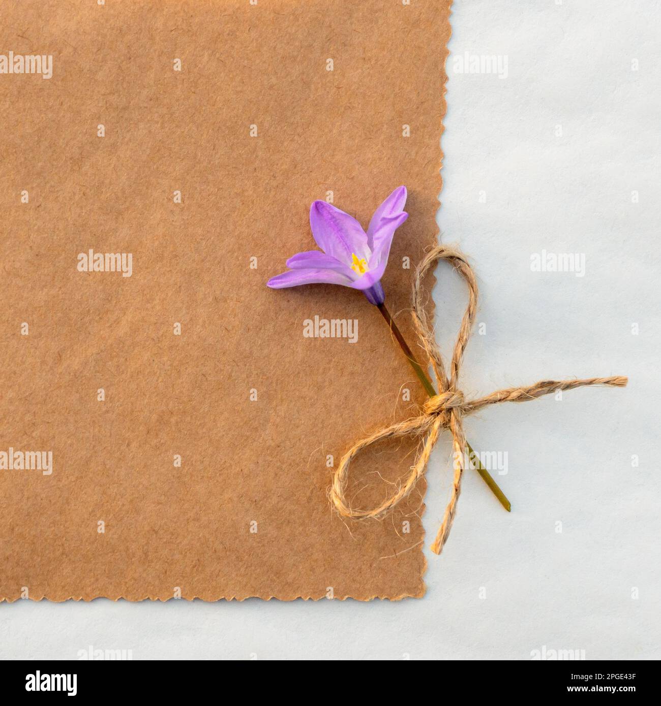 Cute spring card with flower hi-res stock photography and images - Alamy