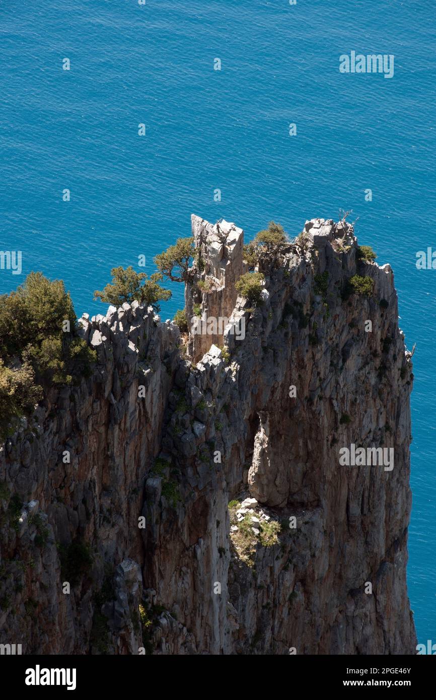 Centola palinuro hi-res stock photography and images - Alamy