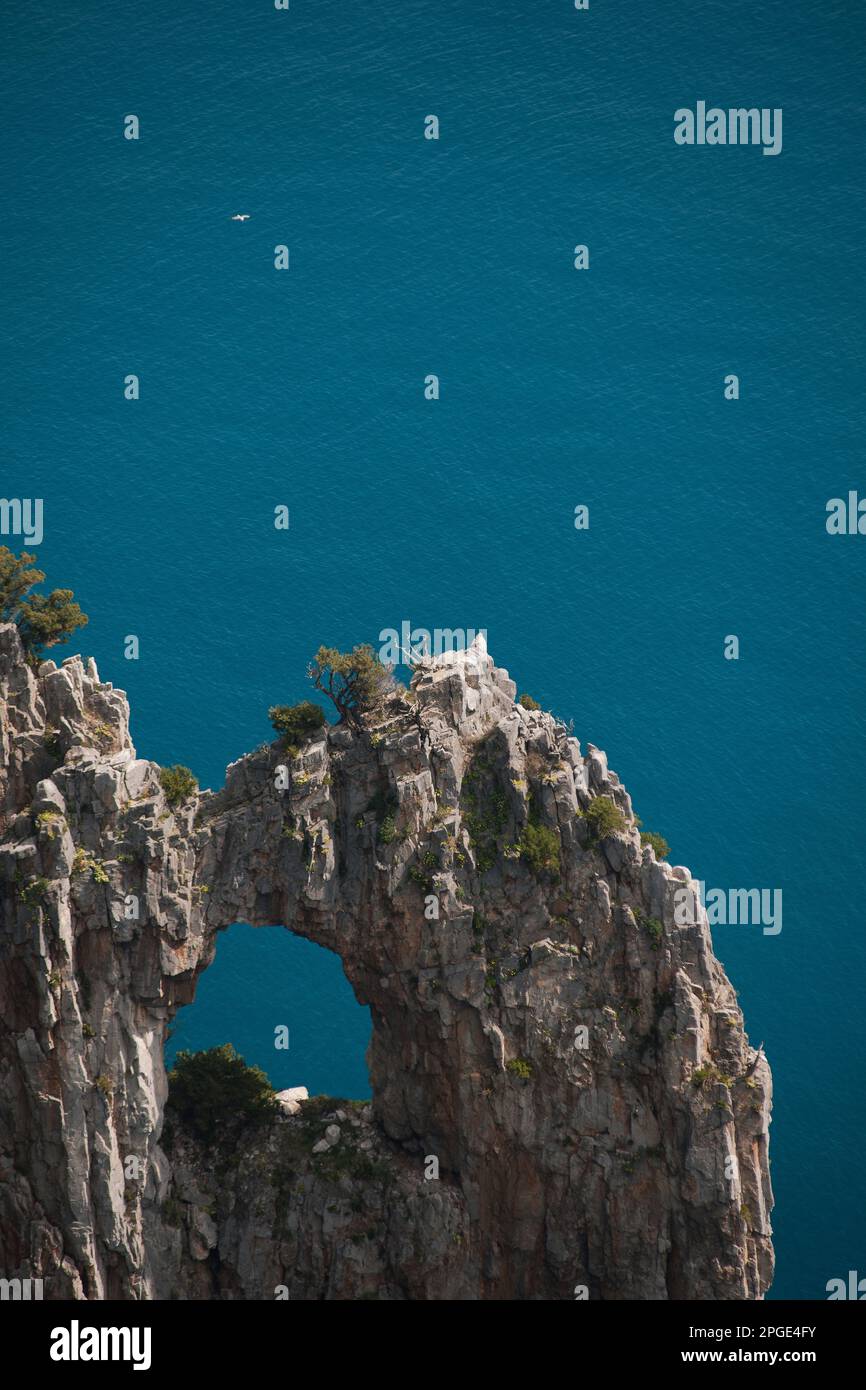 Centola palinuro hi-res stock photography and images - Alamy