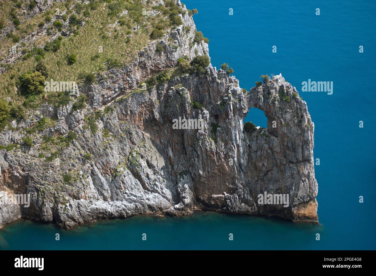 Centola palinuro hi-res stock photography and images - Alamy