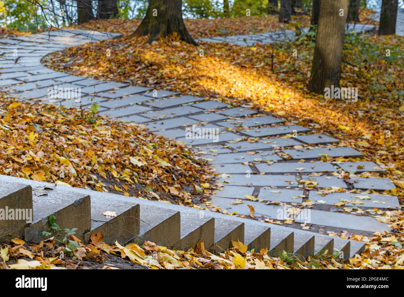 stone steps in the parks shot close-up. stairs in the park Stock Photo ...
