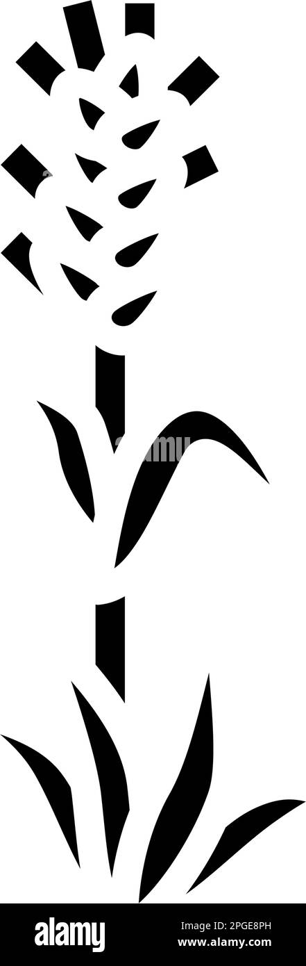 Rice plant healthy glyph Stock Vector Images - Alamy