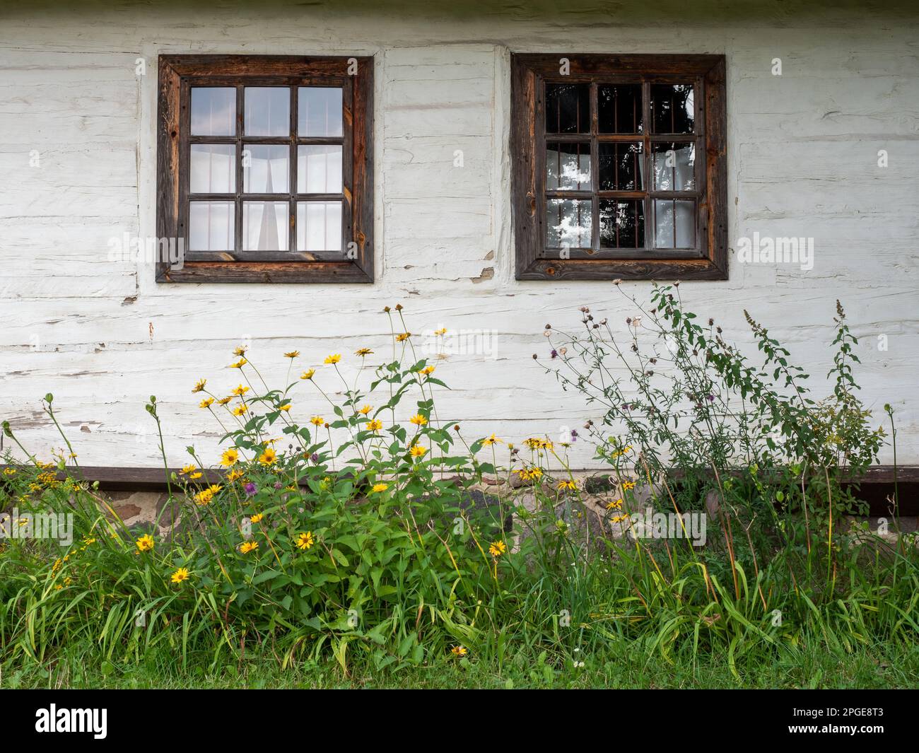 An old rustic house wall with two windows. Poland Stock Photo - Alamy