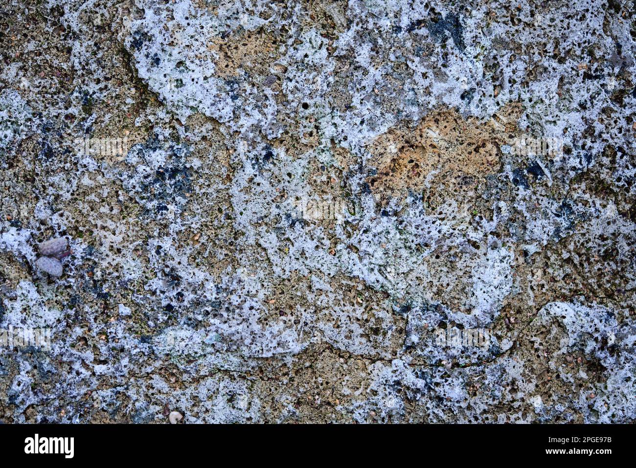 Weathered sandstone texture background with holes and veins Stock Photo ...