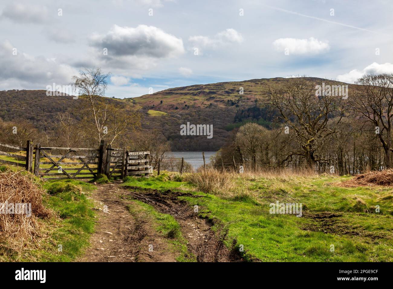 Spring landscape gate cumbria hi-res stock photography and images - Alamy