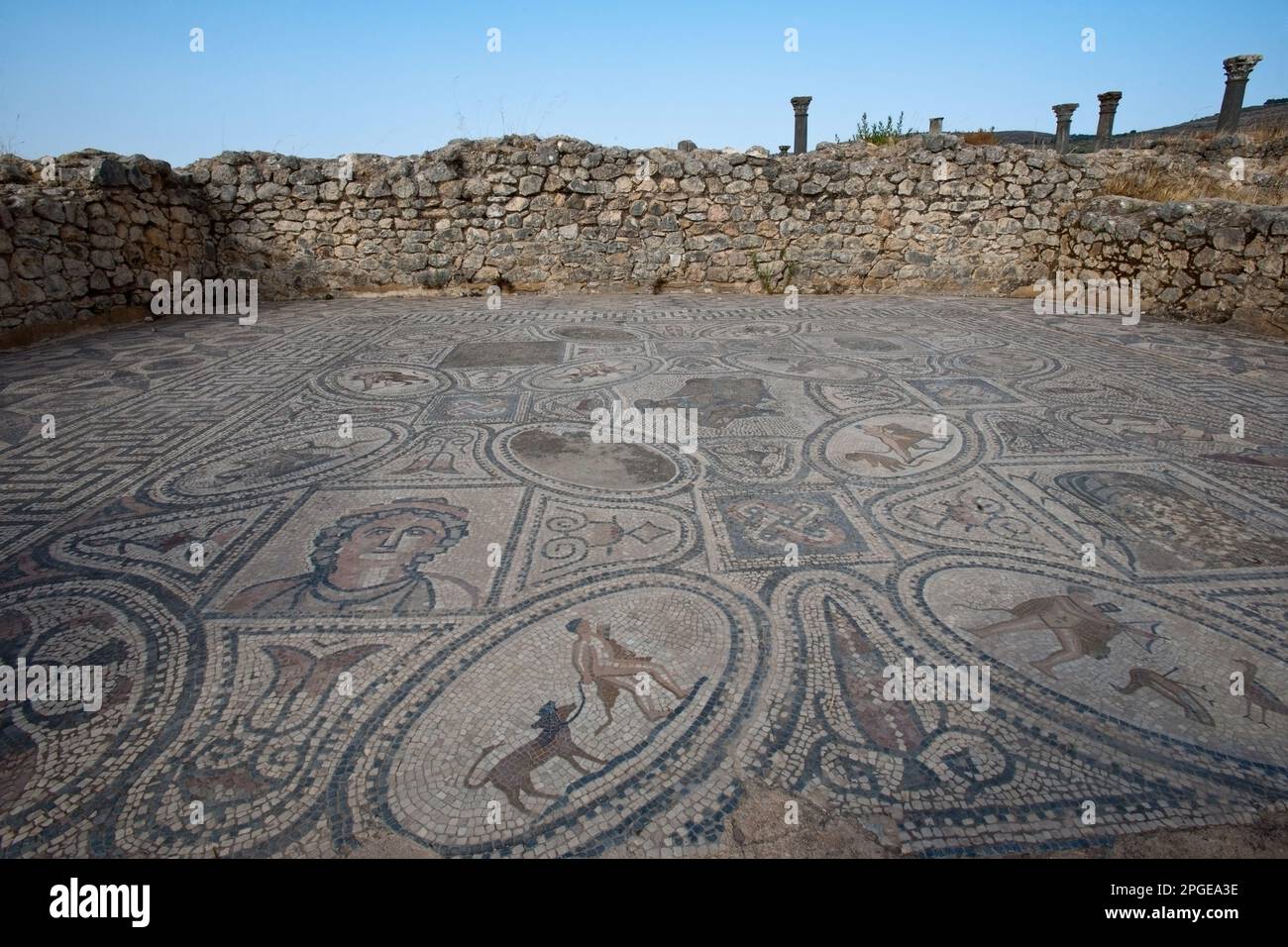 la casa delle fatiche di ercole, sito archeolgico romano di volubilis ...