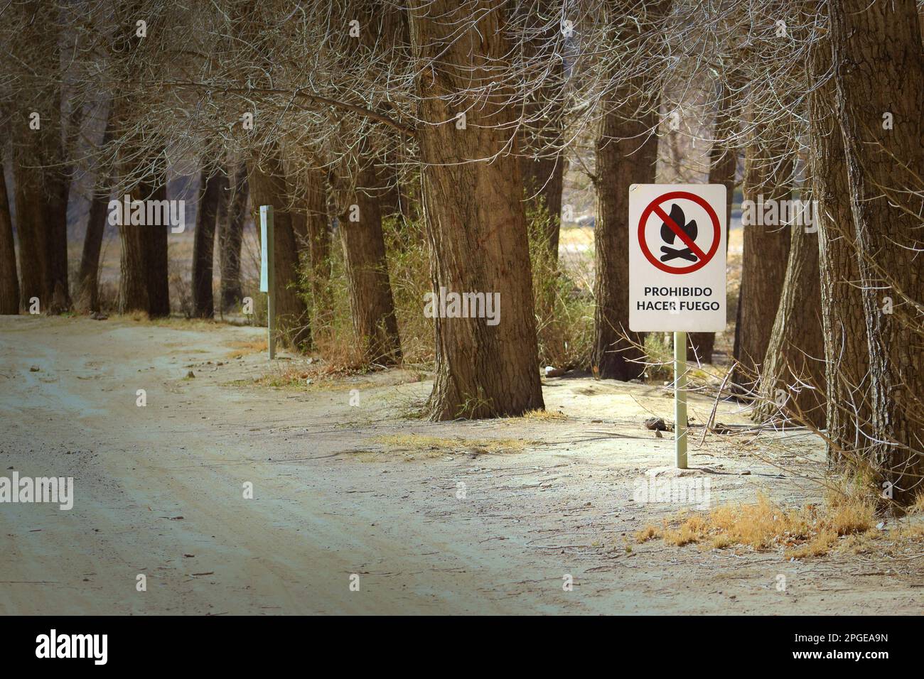 Sign in a wilderness area in Mendoza, Argentina, reading "Fire ...
