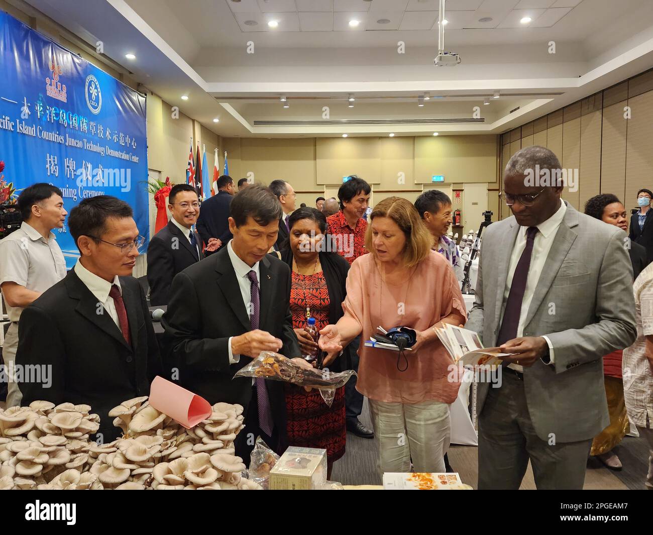 Suva, Fiji. 22nd Mar, 2023. A staff member introduces Juncao technology ...
