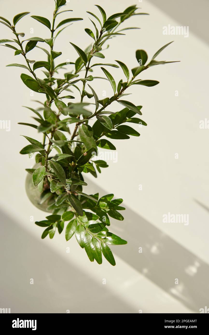 Sustainable, green energy, natural, recycling concept background with ...