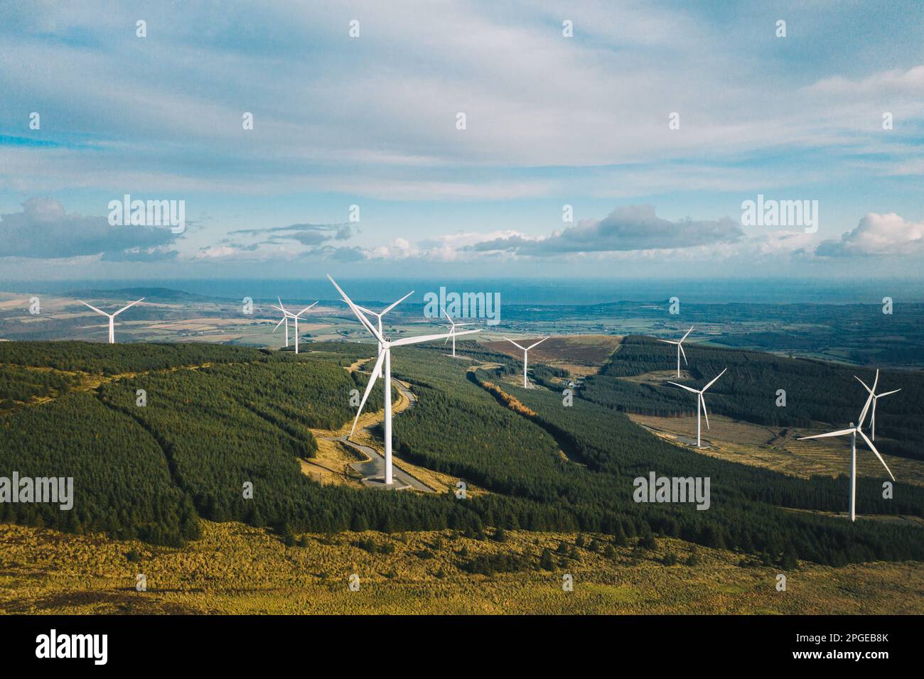 Raheenleagh forest, Ballinvalley, Co.Wicklow / Ireland - The newest ...