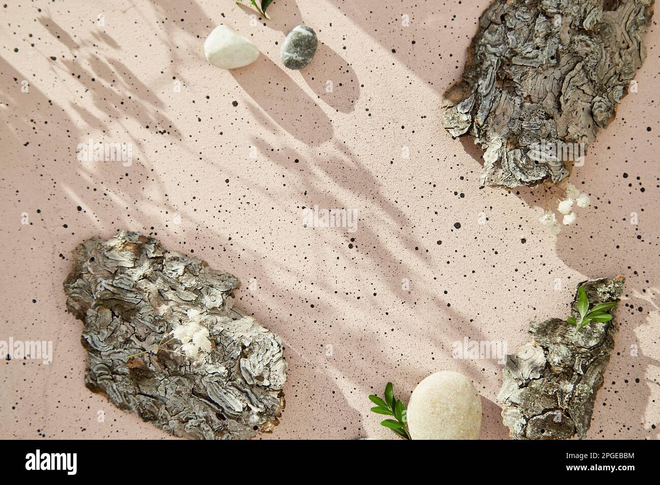 Natural tree bark, leaves, pebbles under shadows. Sustainable ...
