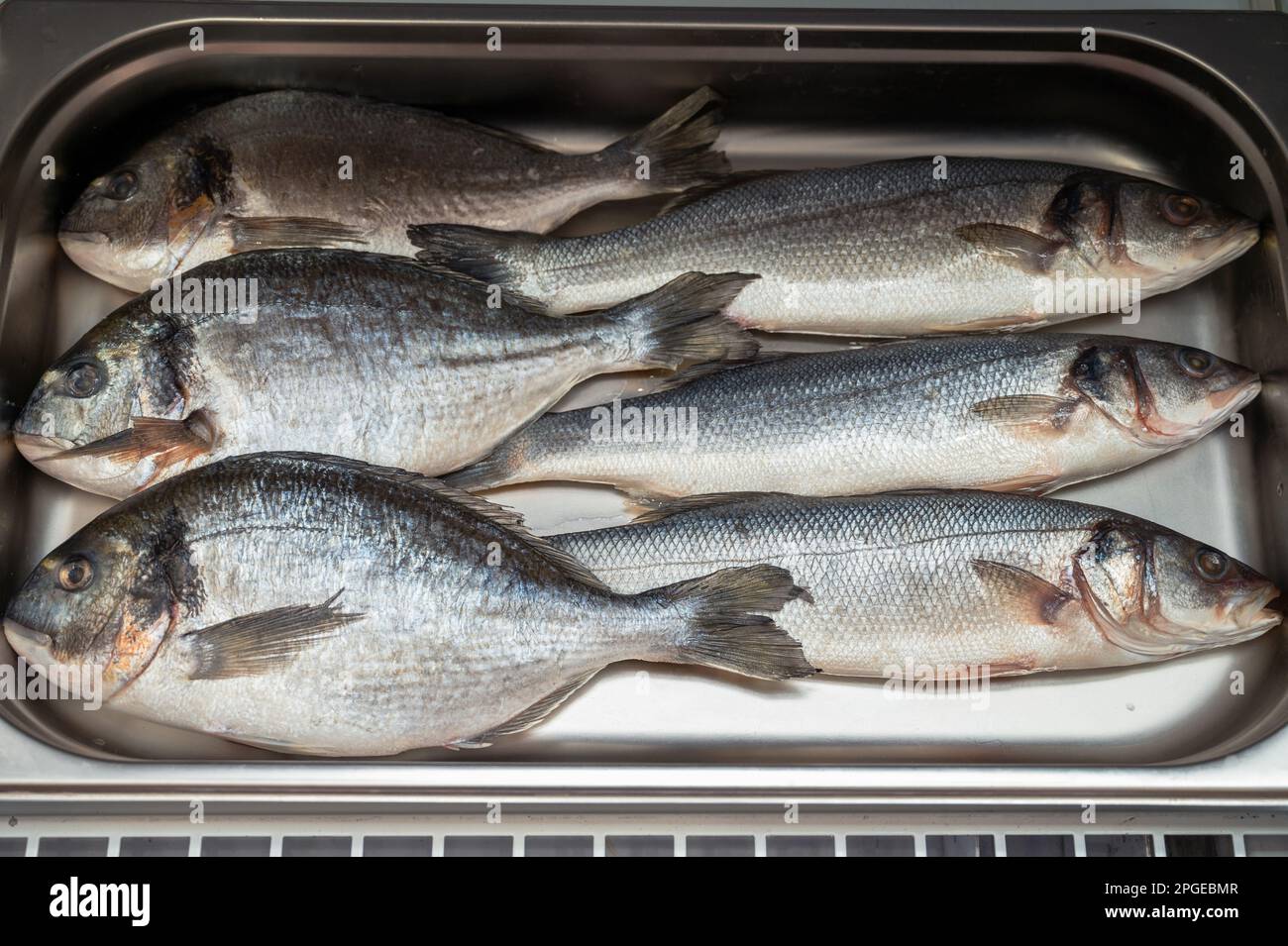 Fresh raw dorado and sea bass fish in the supermarket Stock Photo - Alamy