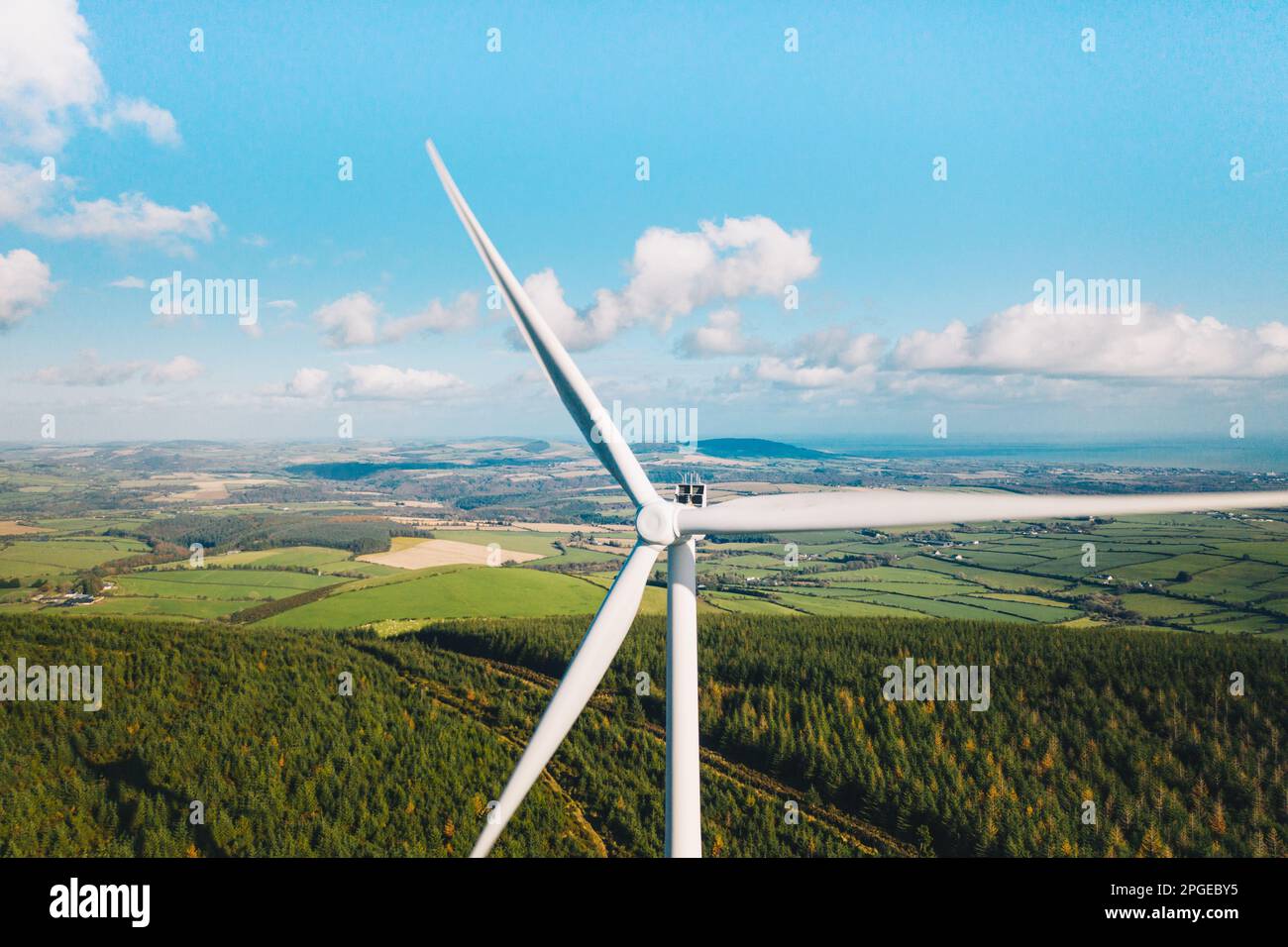Raheenleagh forest, Ballinvalley, Co.Wicklow / Ireland - The newest ...
