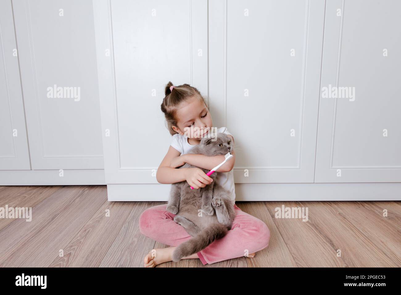 The small funny girl brushing cat's teeth with toothbrush. Pet's health ...