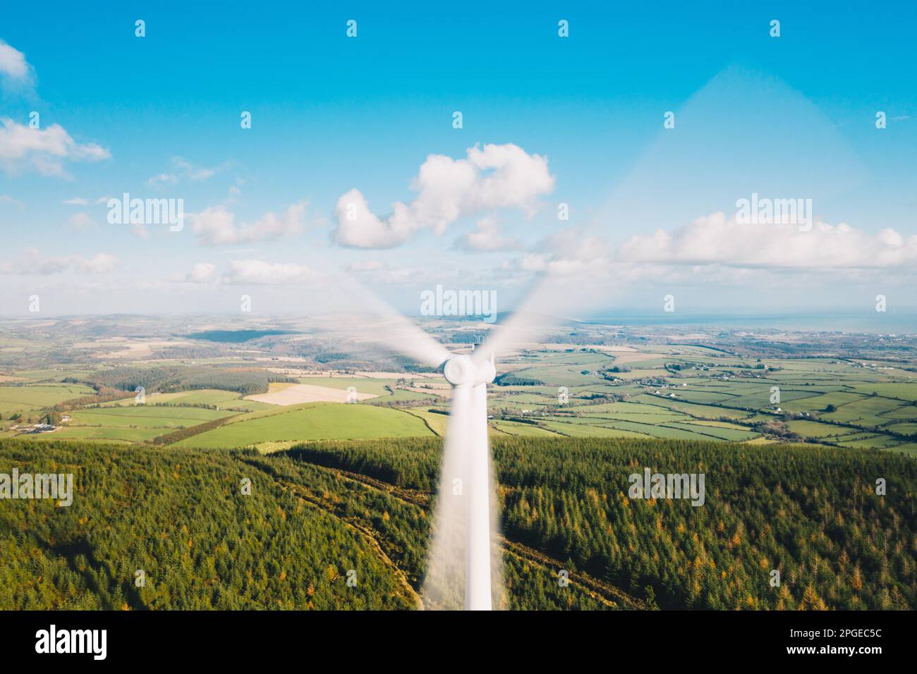 Raheenleagh forest, Ballinvalley, Co.Wicklow / Ireland - The newest ...