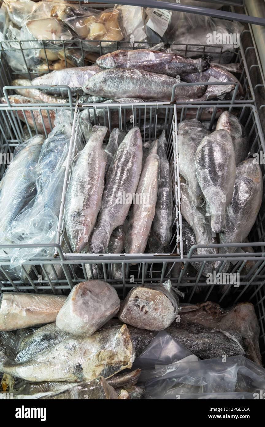 Frozen Seafood and fish in fridge at the fish market. Healthy eating ...